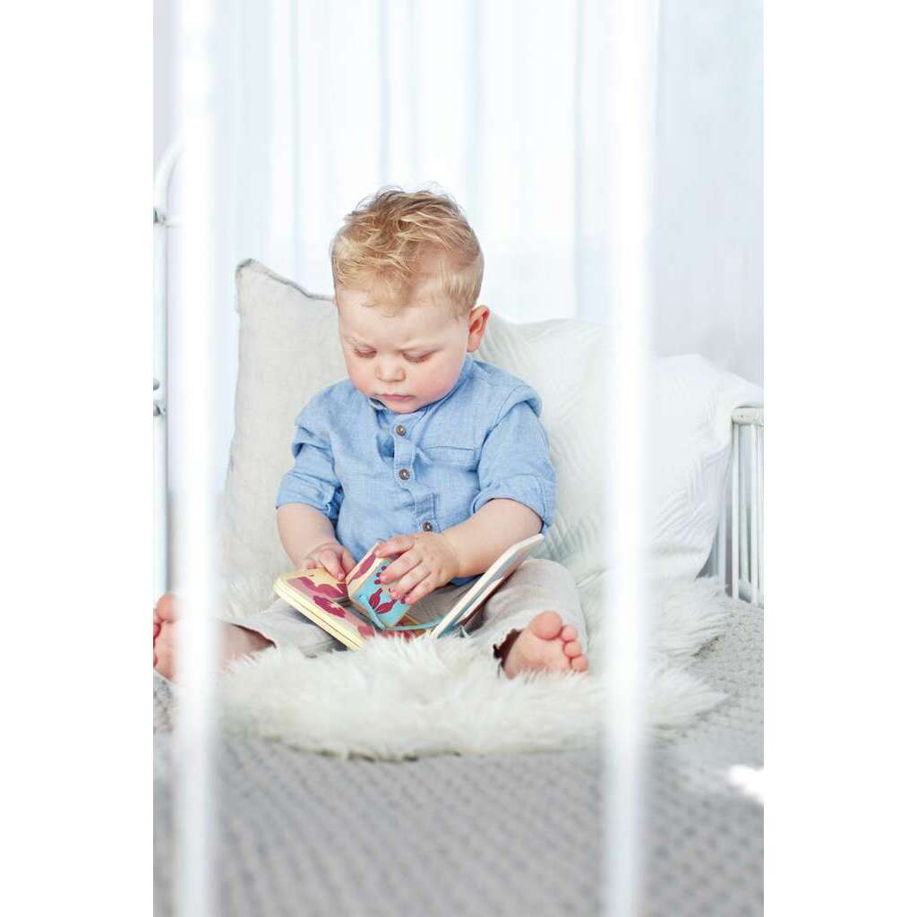 Adventurous Animal Book | E8523